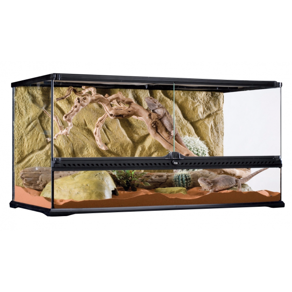 Exo Terra All Glass Large Wide Terrarium 90 x 45 x 45cm – Nature Pets & Aquariums