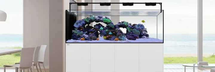Nature Pets & Aquariums
