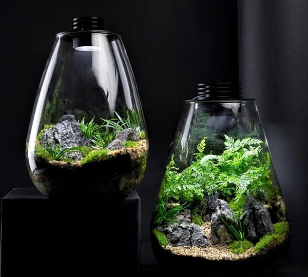 Shop | Terrariums, Aquariums for Reptiles, Amphibians & Invertebrates ...