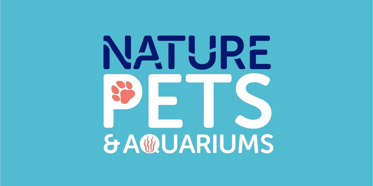 Children's Python Care Guide | Checklist – Nature Pets & Aquariums