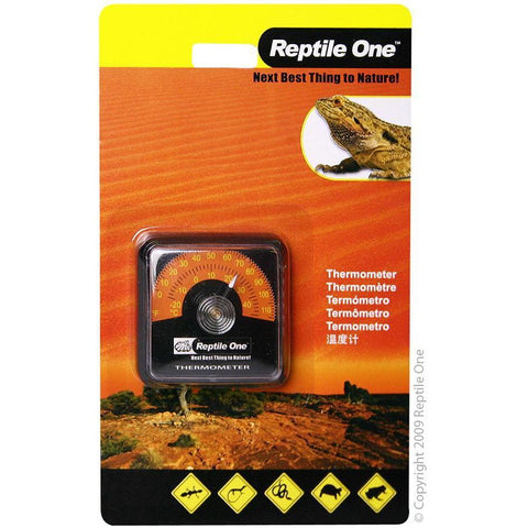 Shop Reptile One | The Next Best Thing to Nature – Nature Pets & Aquariums