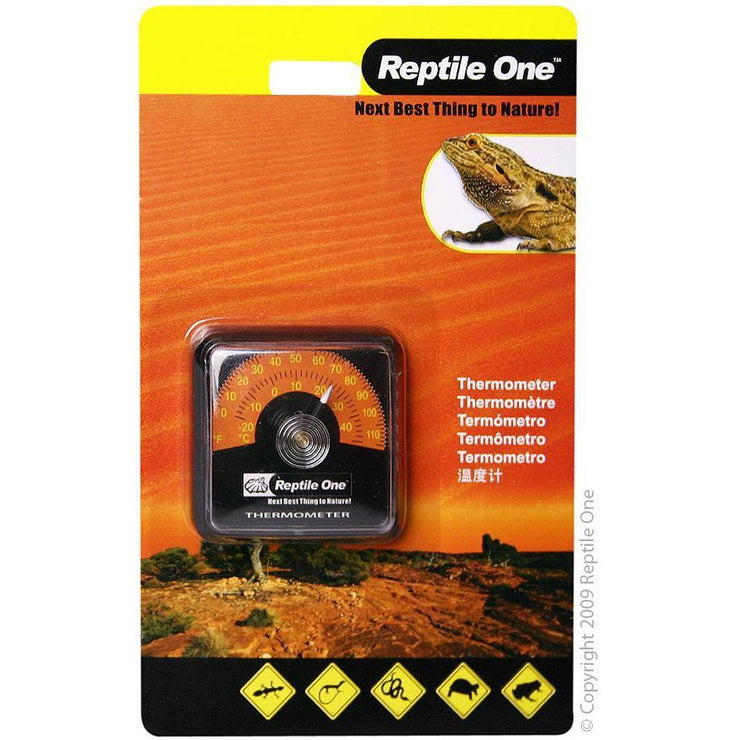 Shop Reptile One | The Next Best Thing to Nature – Nature Pets & Aquariums