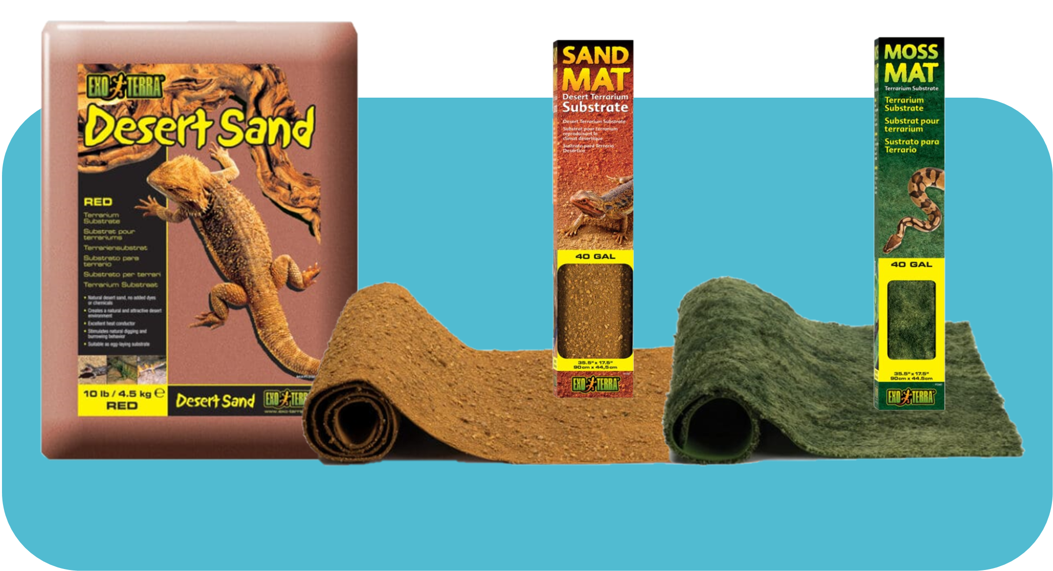 Australia’s Premium Pet & Reptile Store – Lizards, Snakes & Terrariums ...