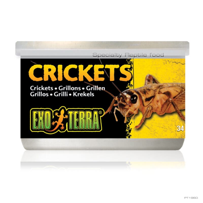 Exo Terra Crickets Small 34gm 1.2oz – Nature Pets & Aquariums
